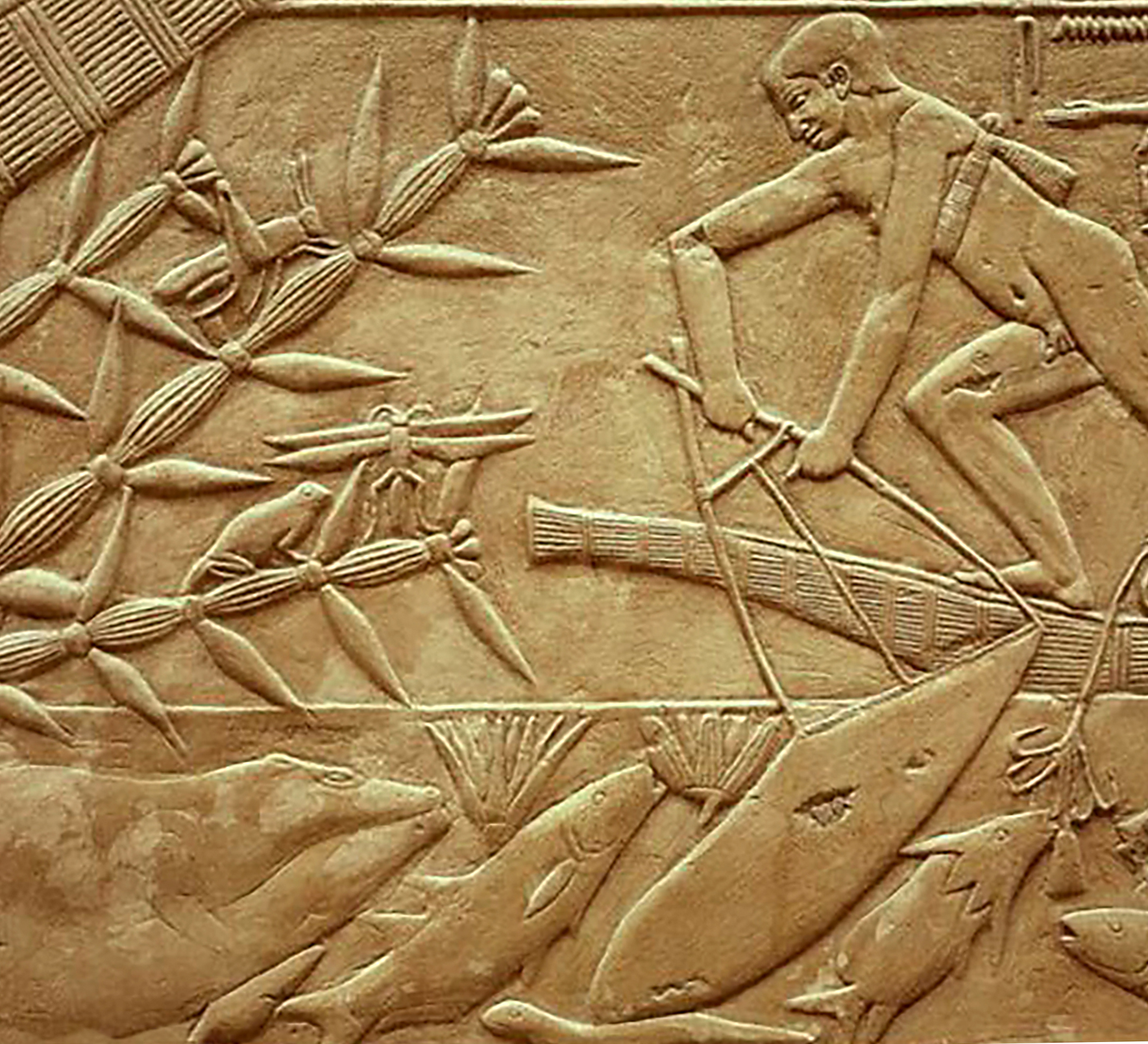 On Humor – Part One – John Bonath Fine Art Photography